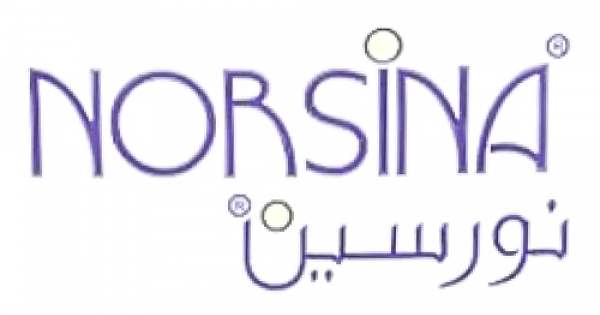 Norsina