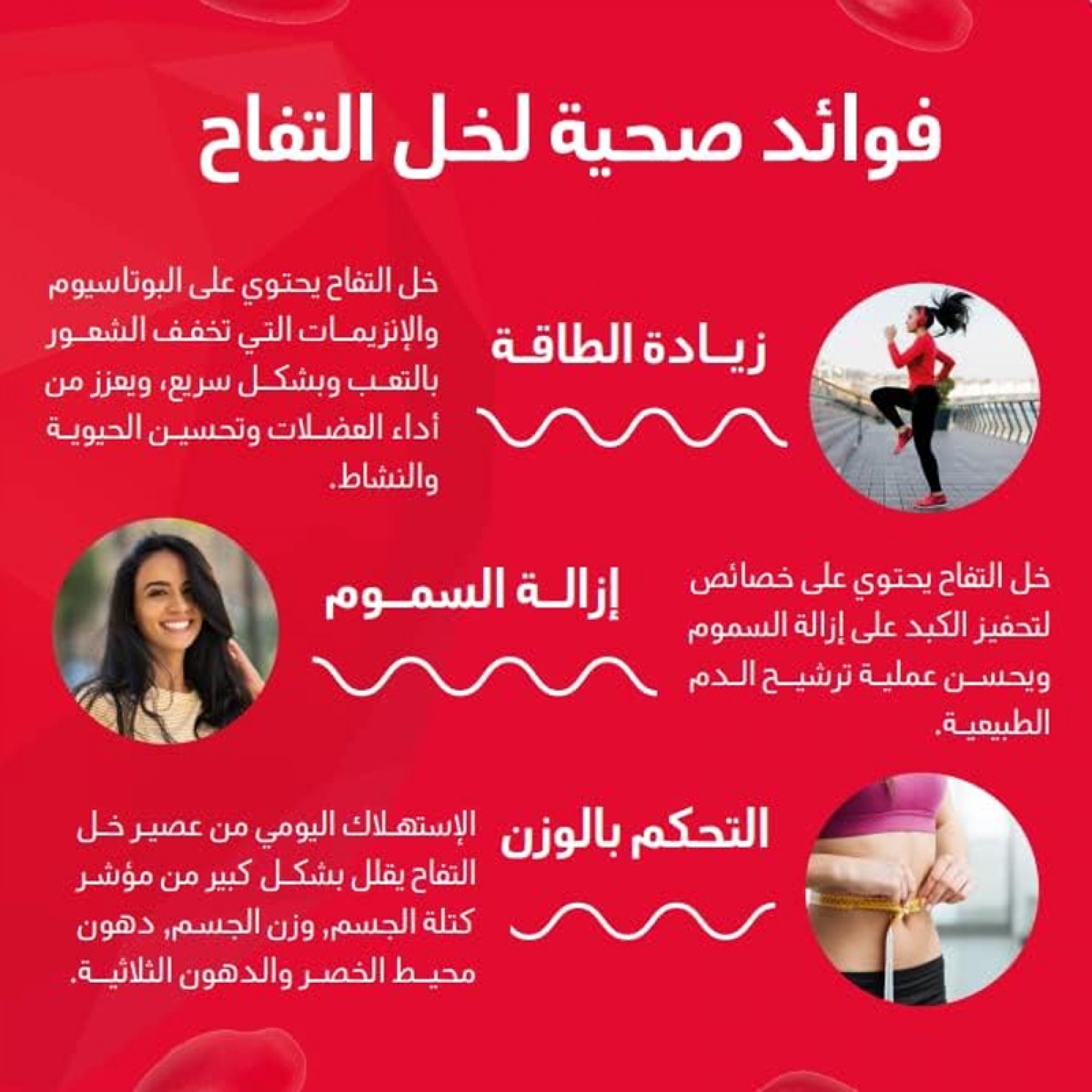 Holista Apple Cider Vinegar VitaLite Gummies - 90 Pieces