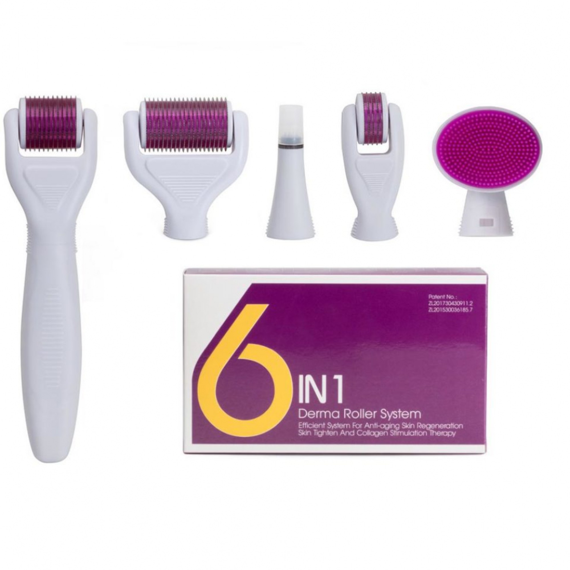 6in1 Derma Roller System