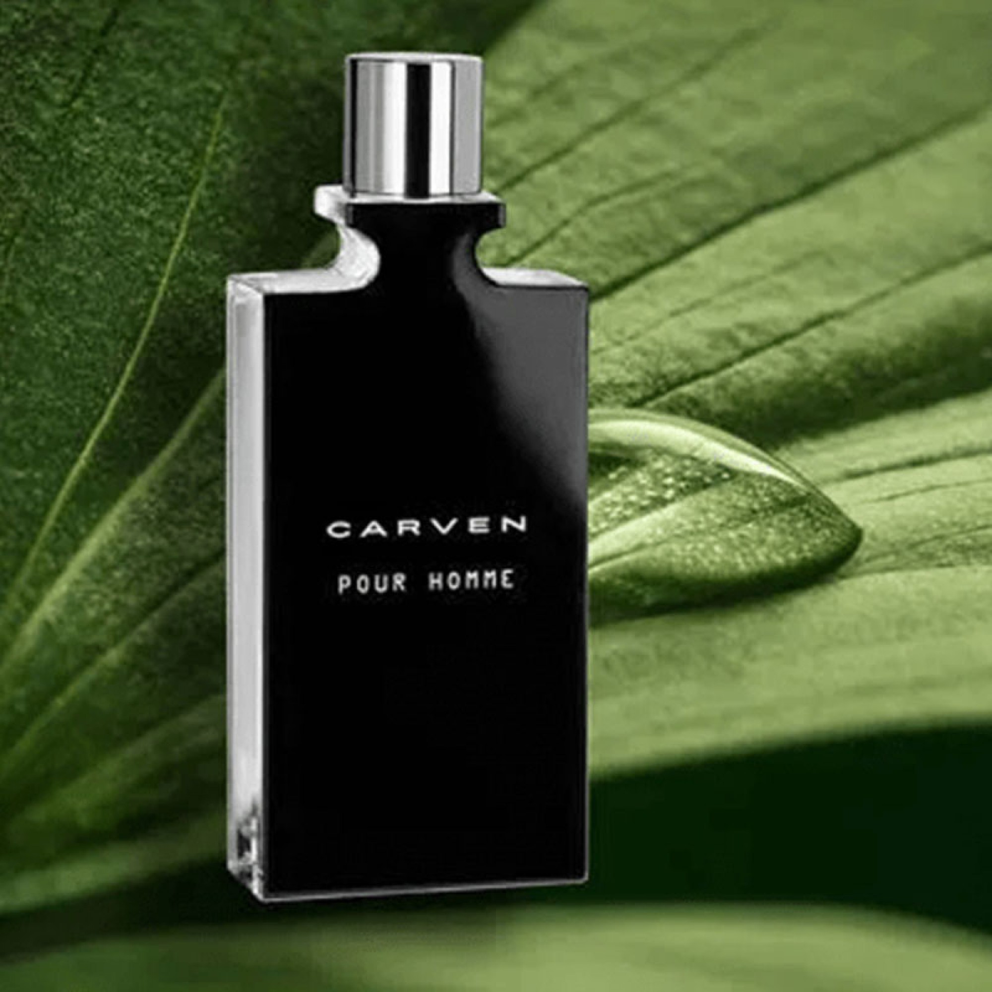 Carven Pour Homme For Men - Eau de Toilette 50ml