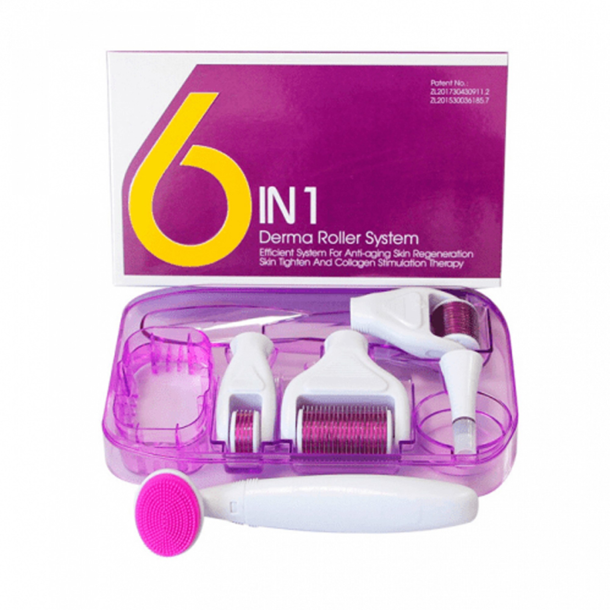 6in1 Derma Roller System
