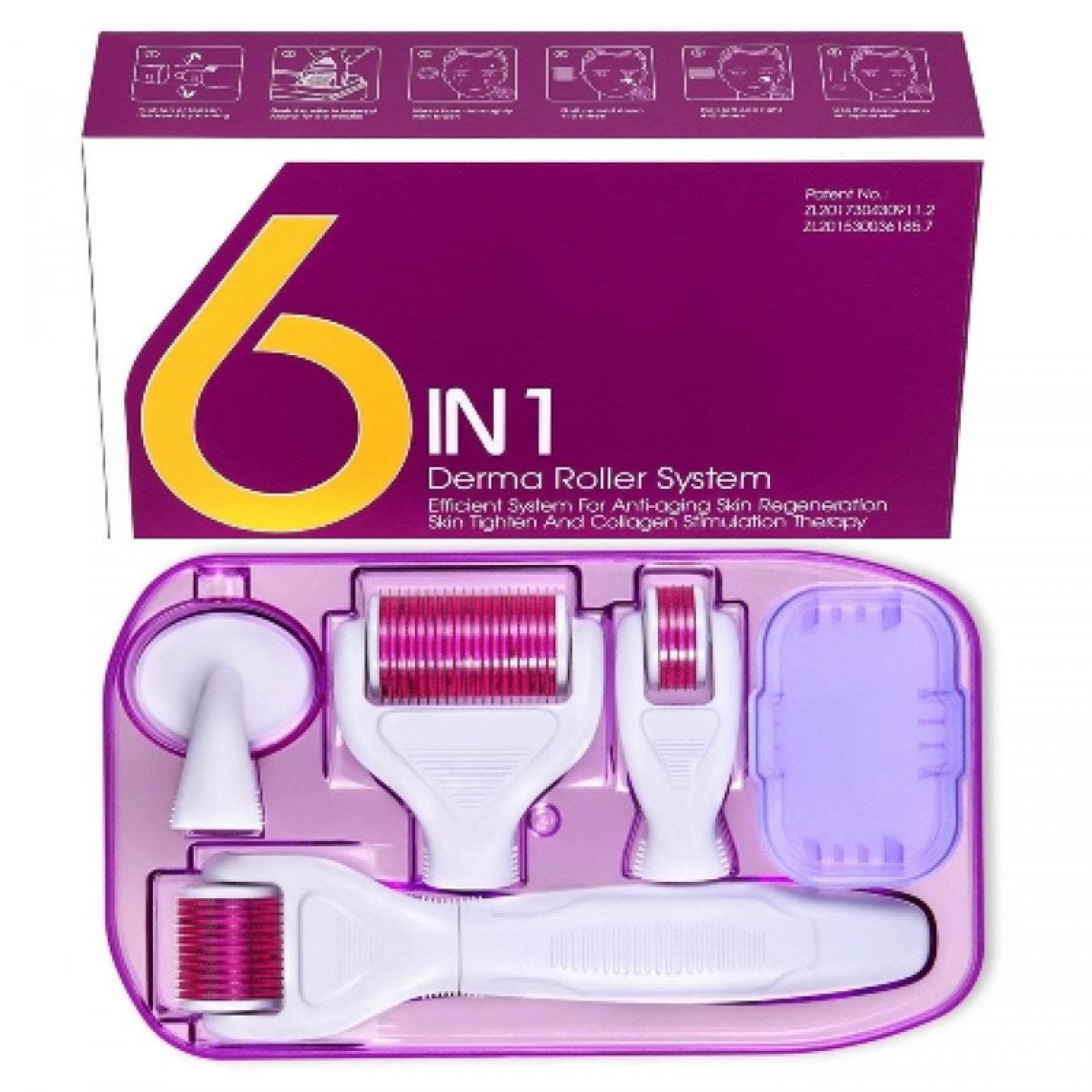 6in1 Derma Roller System