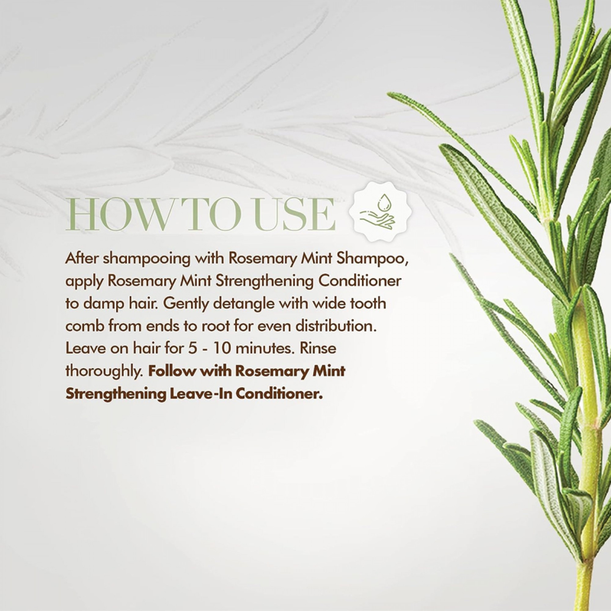 Mielle Organics Rosemary Mint Strengthening Conditioner with Biotin, 12 ...